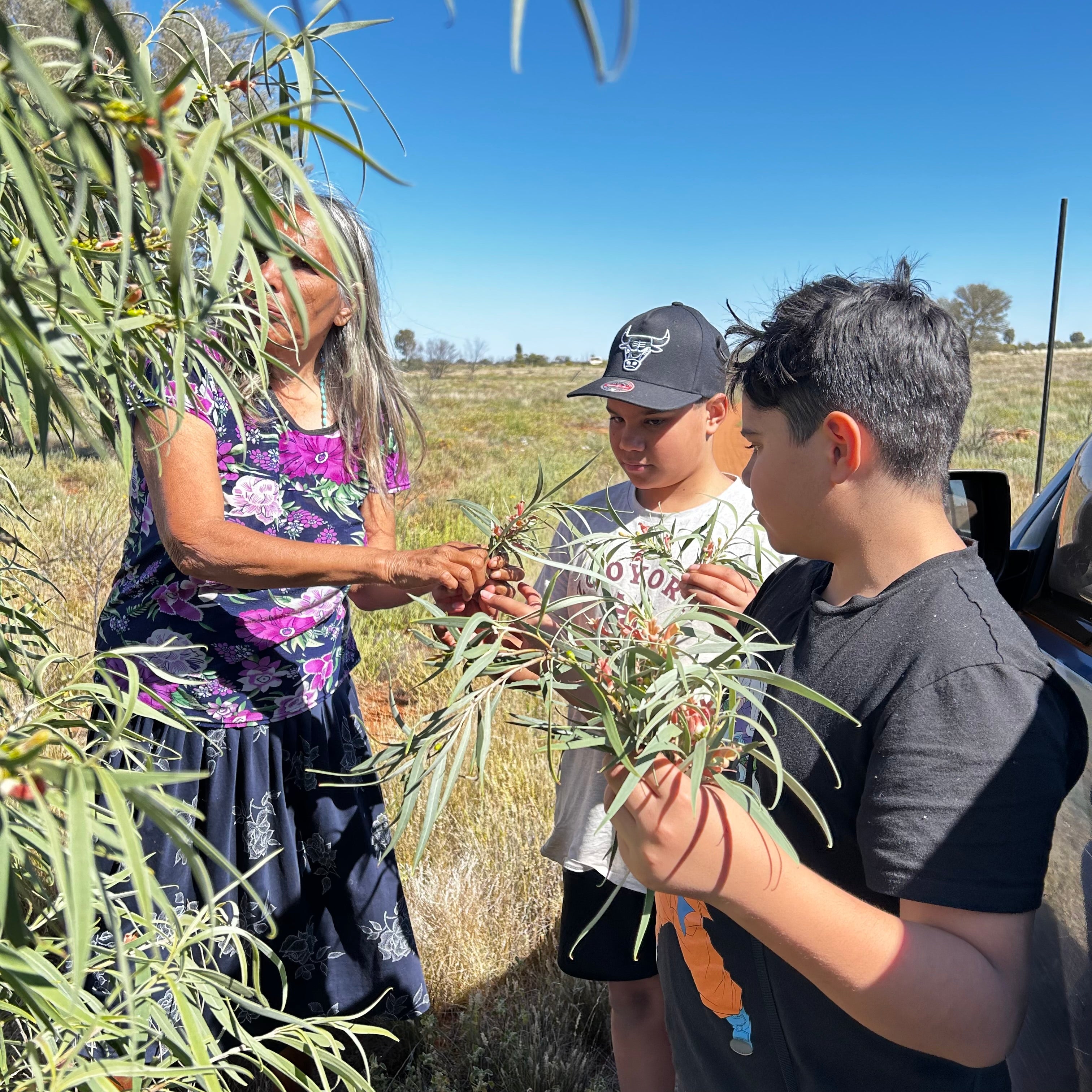 Tali Katu – Cultural Experiences on Anangu Country